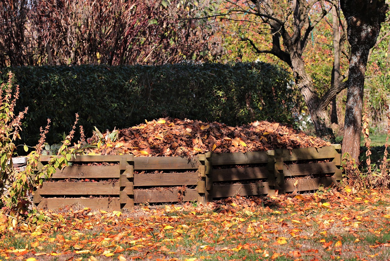 Cómo hacer compost: Guía práctica y beneficios clave