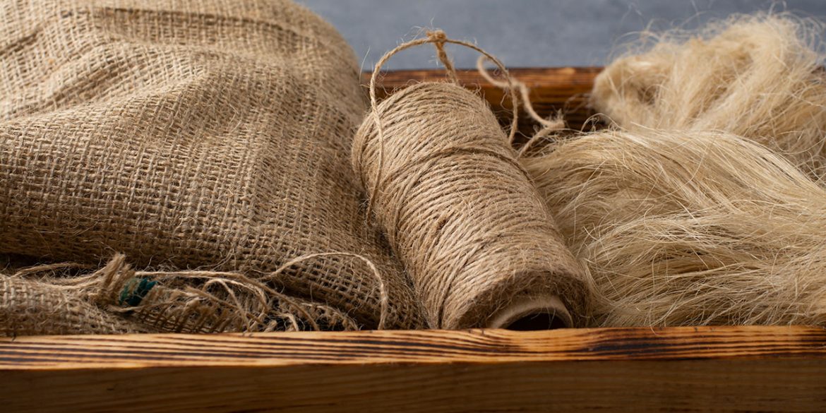 Fibras textiles vegetales: tipos, usos y beneficios