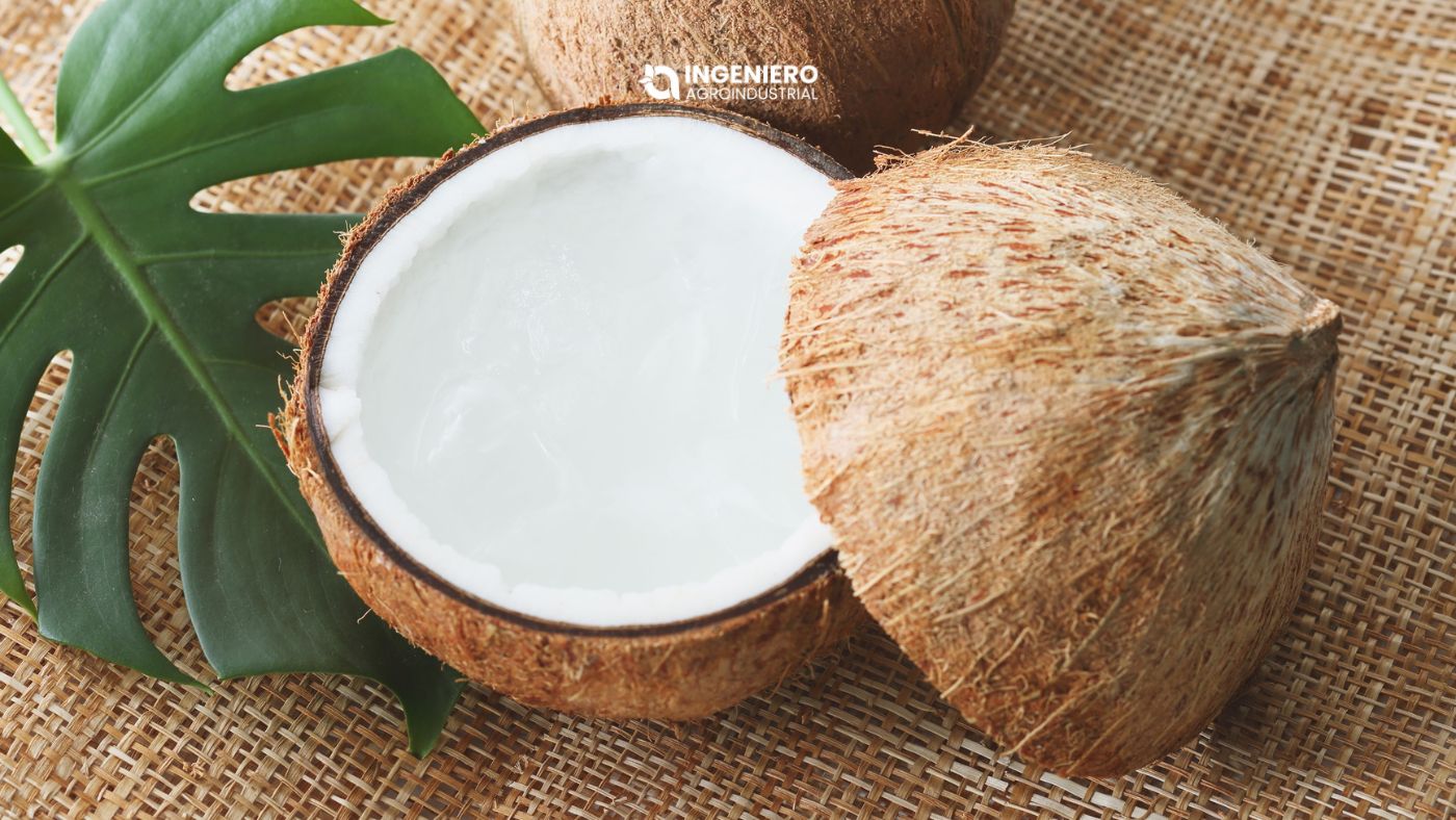Agua de coco: beneficios, propiedades y contraindicaciones