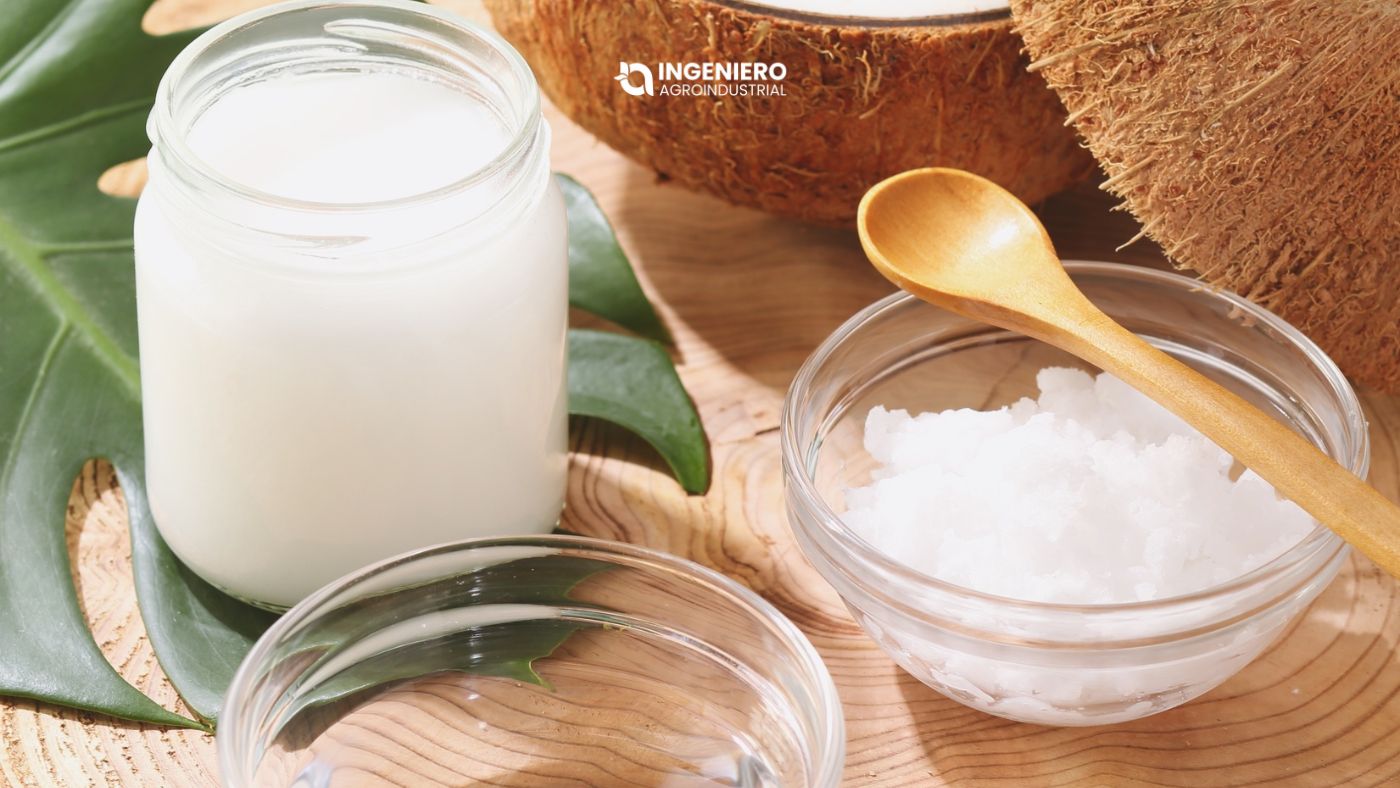 Agua de coco: beneficios, propiedades y contraindicaciones